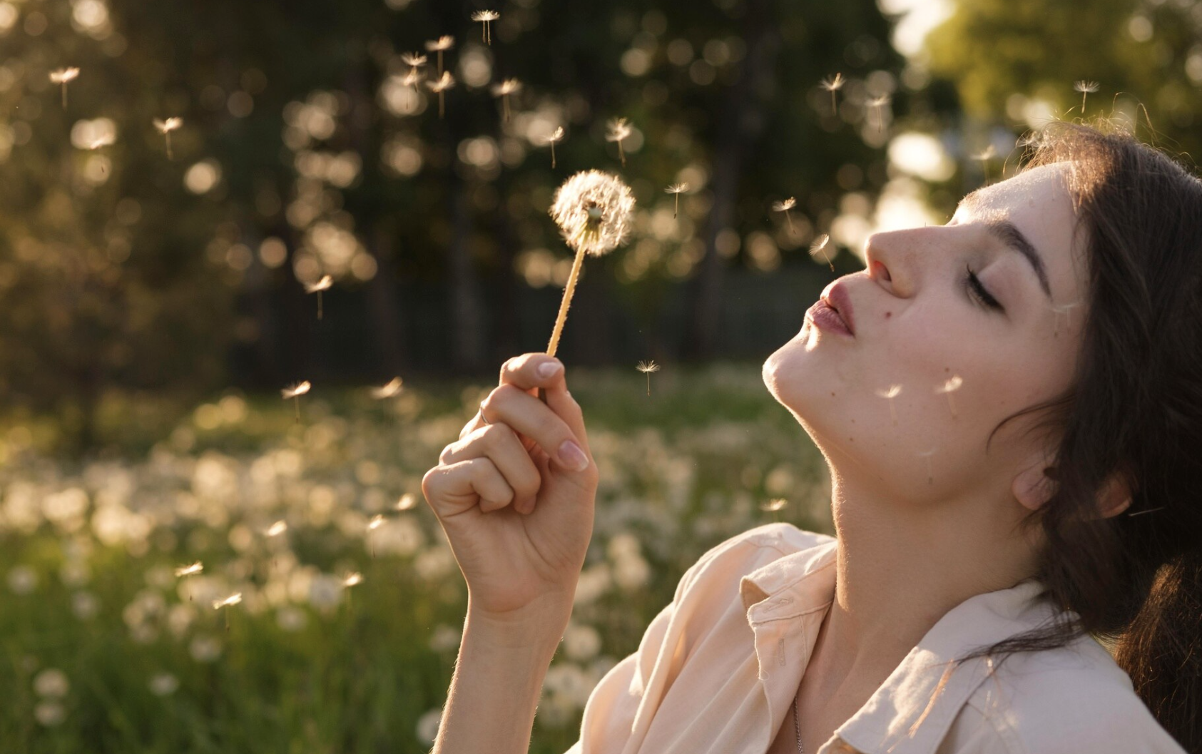 H 動画 無 修正 無料